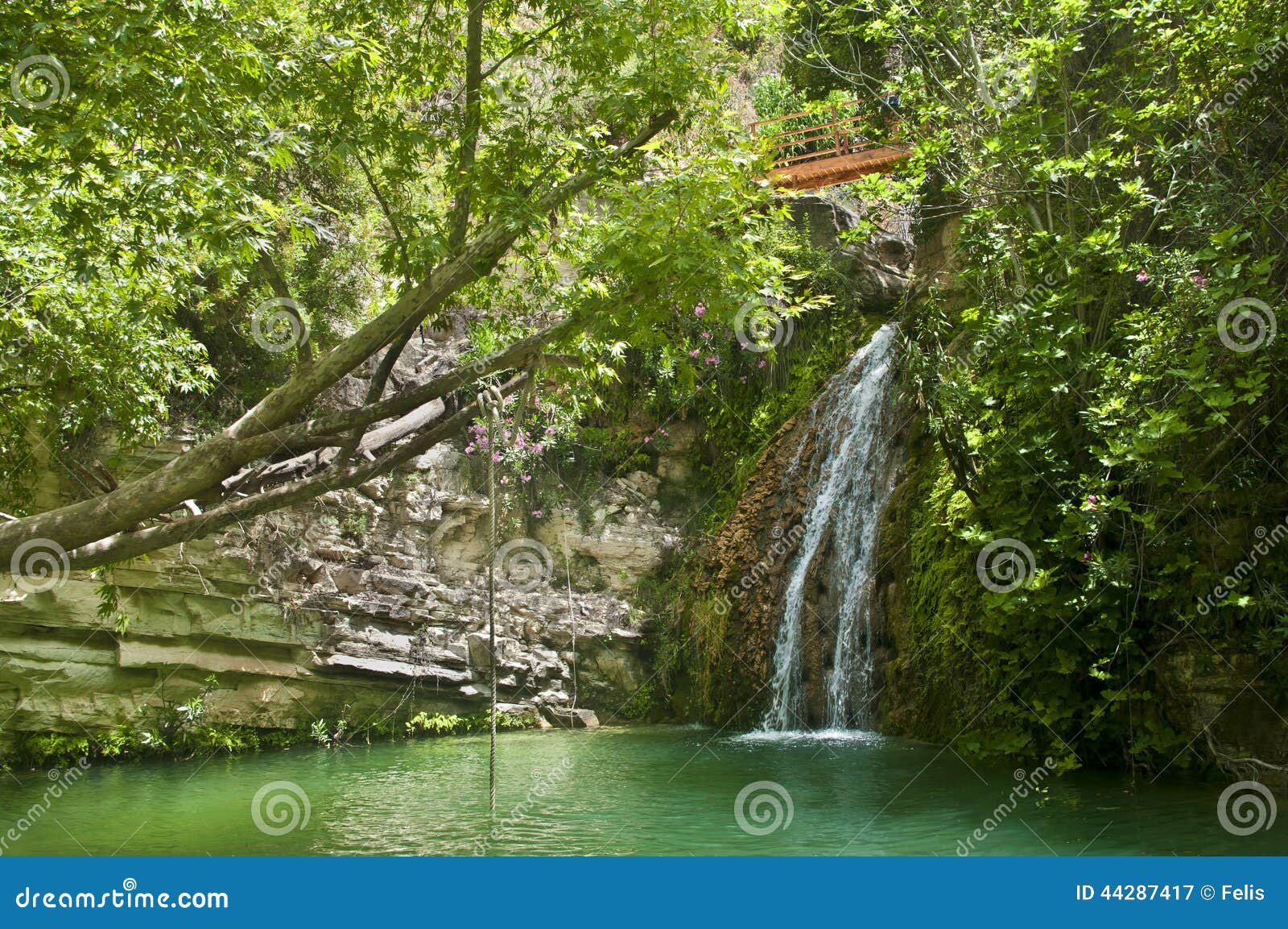 Waterfall In Forest Stock Image | CartoonDealer.com #44287417