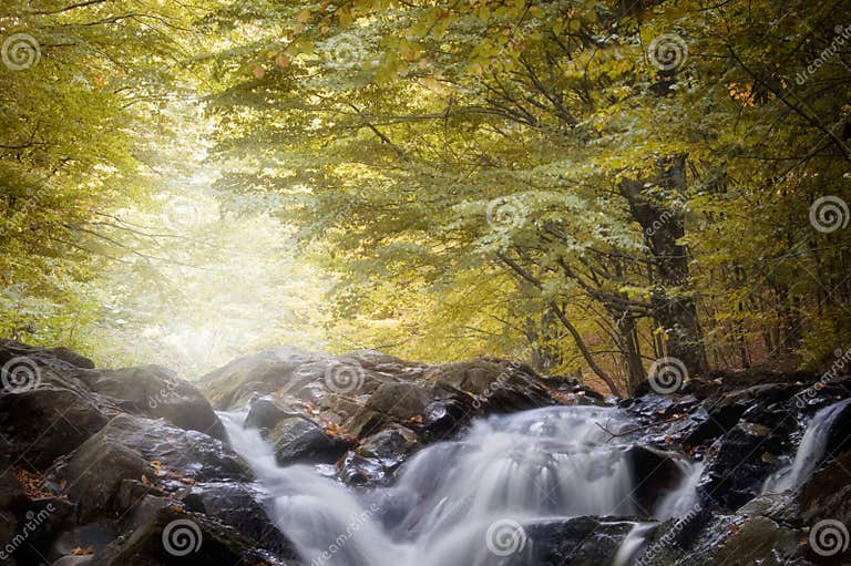 Waterfall in a Forest in Autumn Stock Photo - Image of morning, bright ...