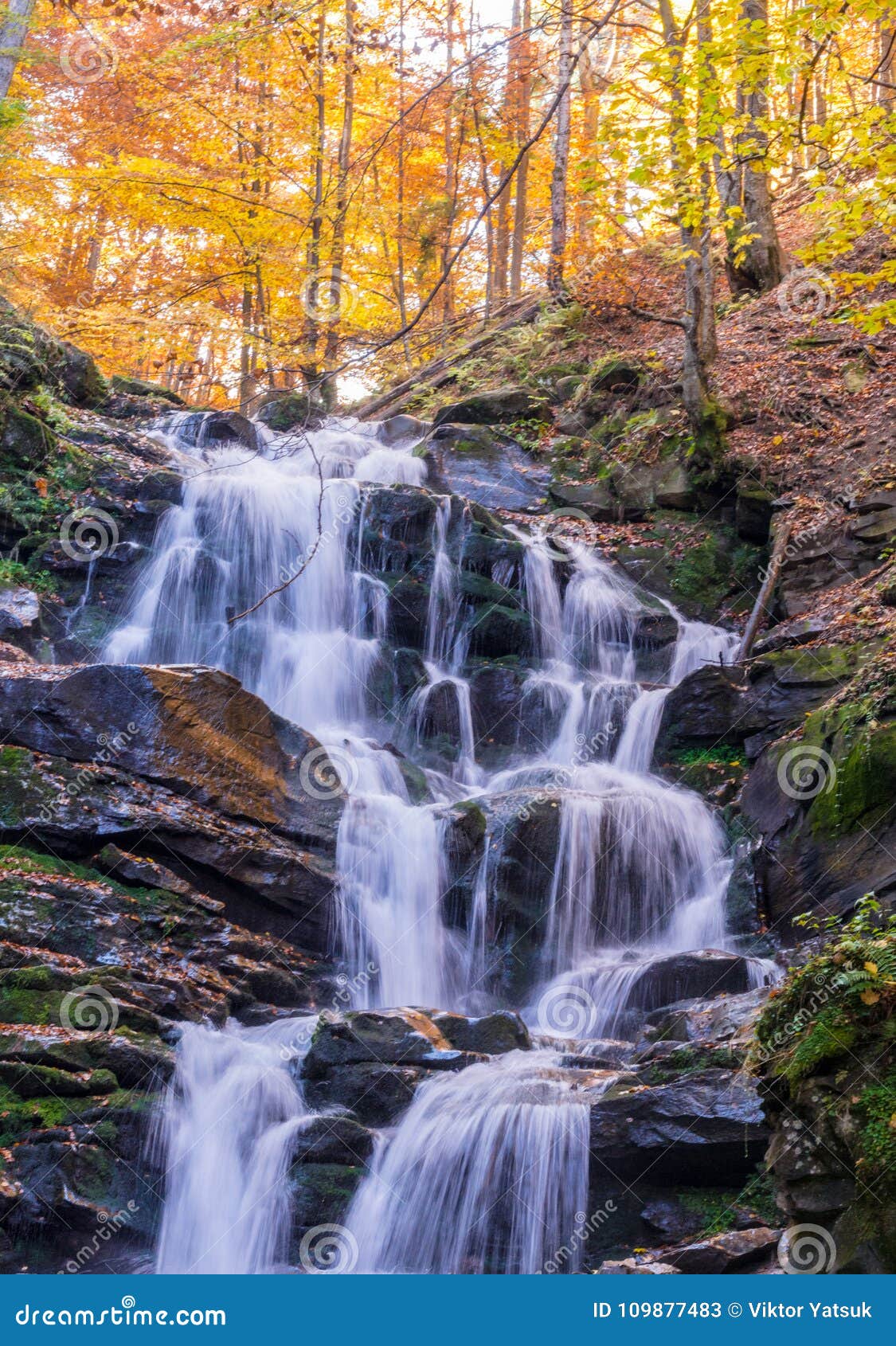 Waterfall in the Forest. Autumn in the Forest Stock Image - Image of ...