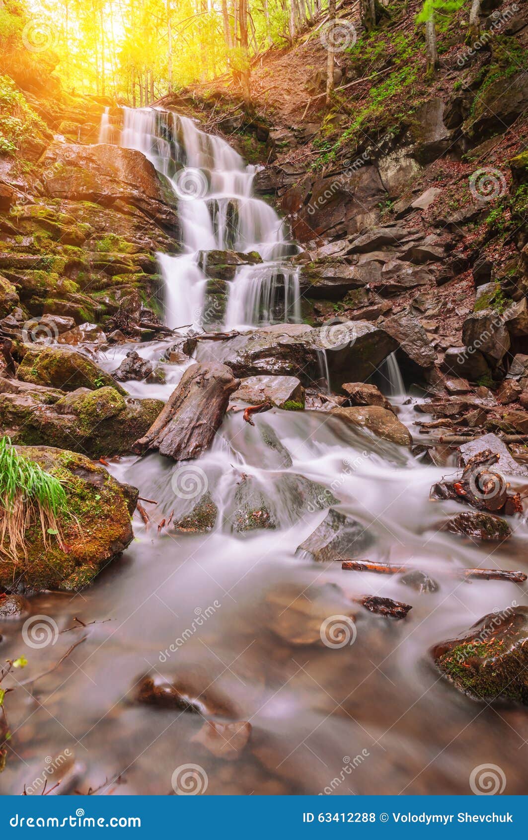 Waterfall in the forest stock photo. Image of environment - 63412288