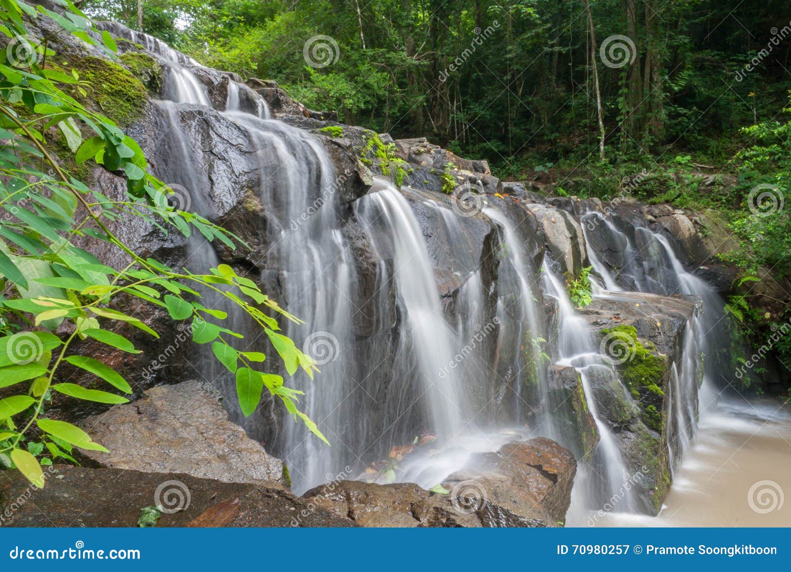 Waterfall in forest stock image. Image of foliage, green - 70980257