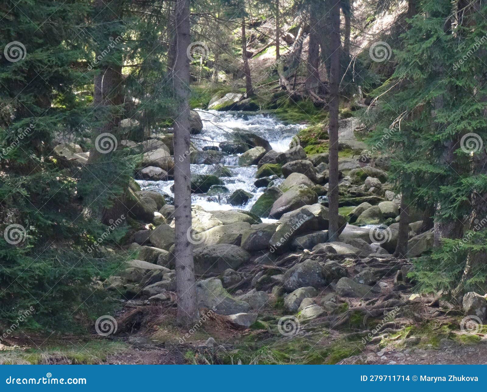 Waterfall in the Forest, a Cascade of Water Flow among Nature among ...