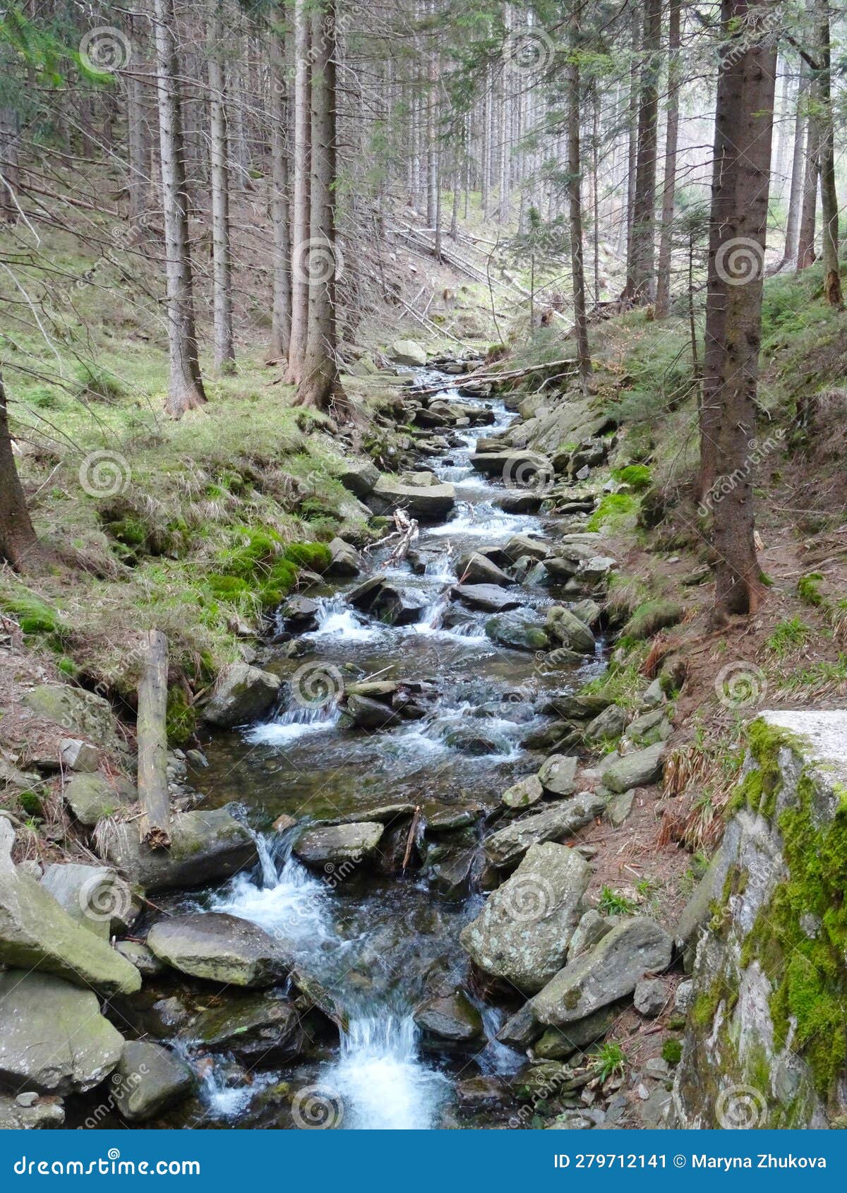 Waterfall in the Forest, a Cascade of Water Flow among Nature among ...