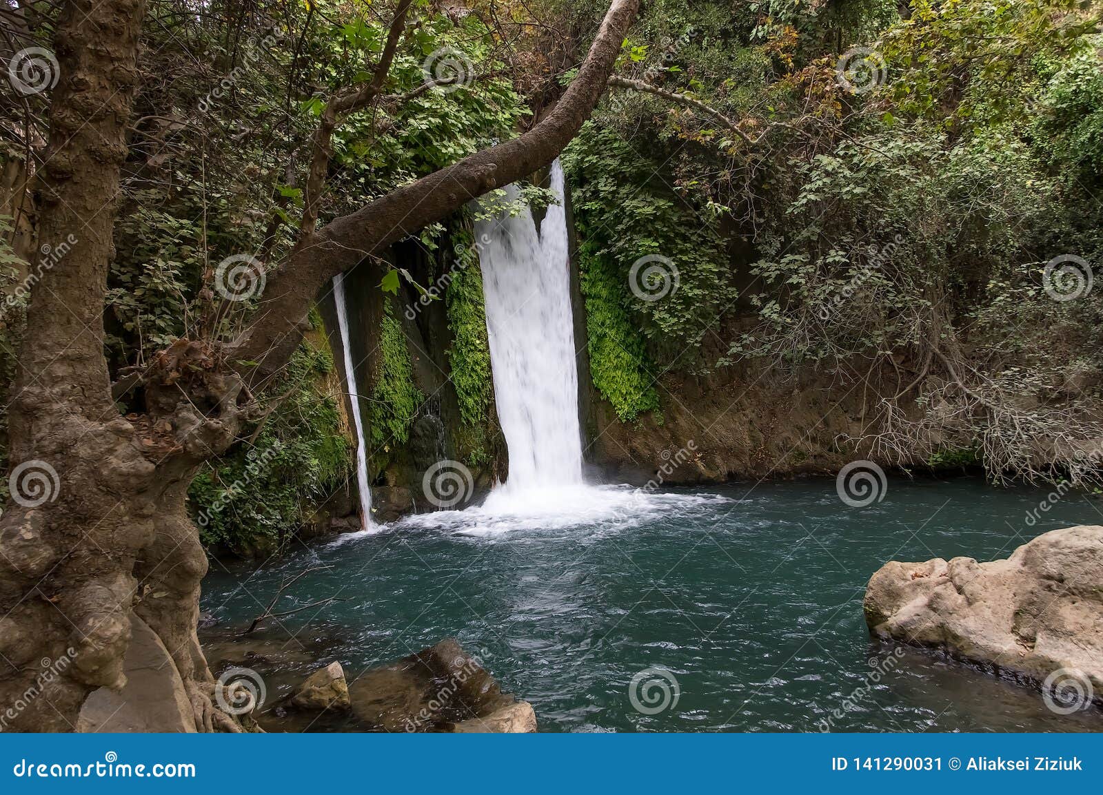 Waterfall in the Forest, it Falls into the Lake Stock Image - Image of ...