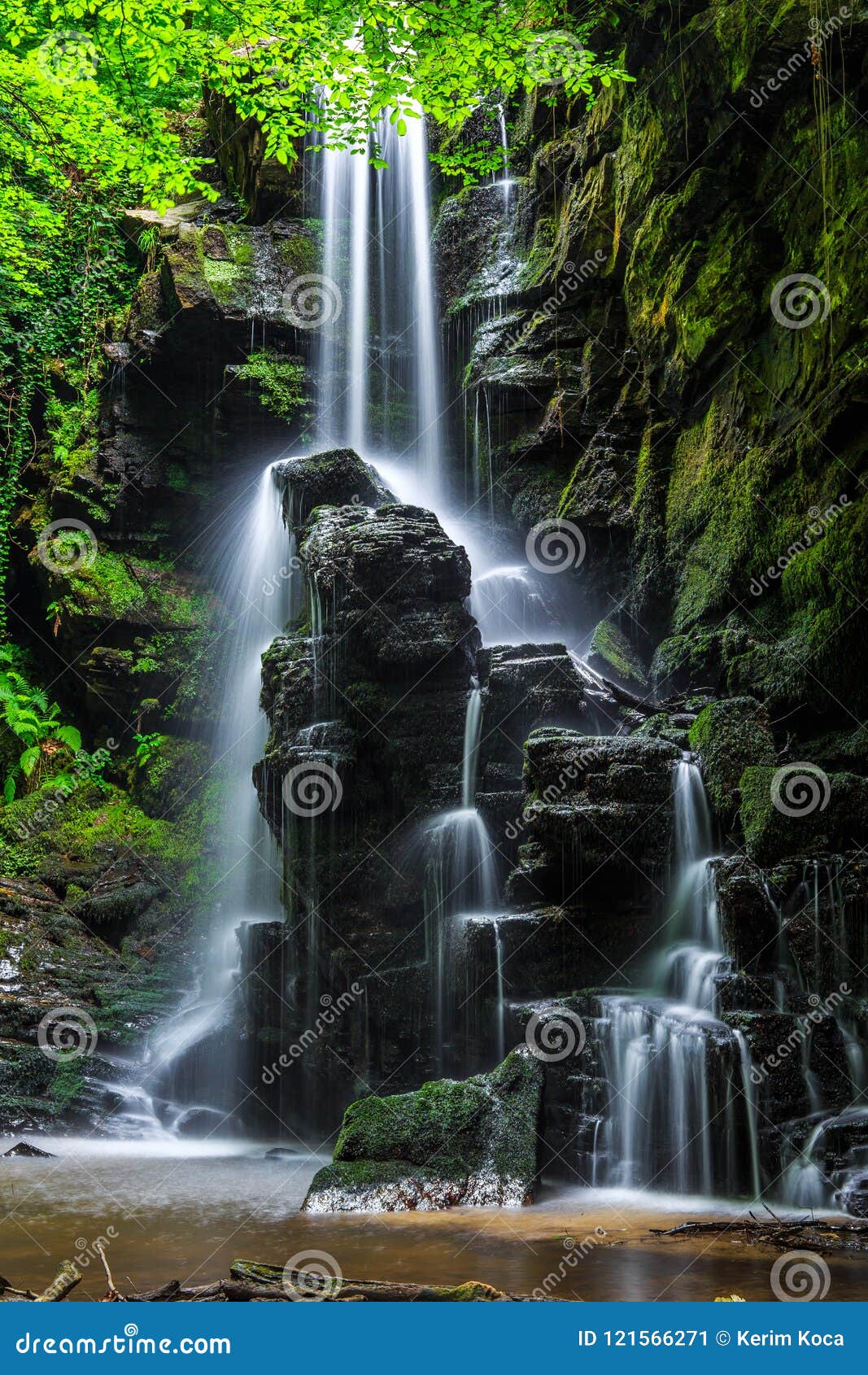 Waterfall in the forest stock image. Image of leaves - 121566271