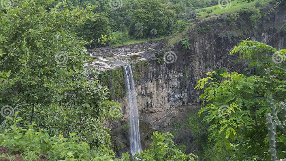 Waterfall Mohadi in the Forest of Indore Stock Photo - Image of forest ...