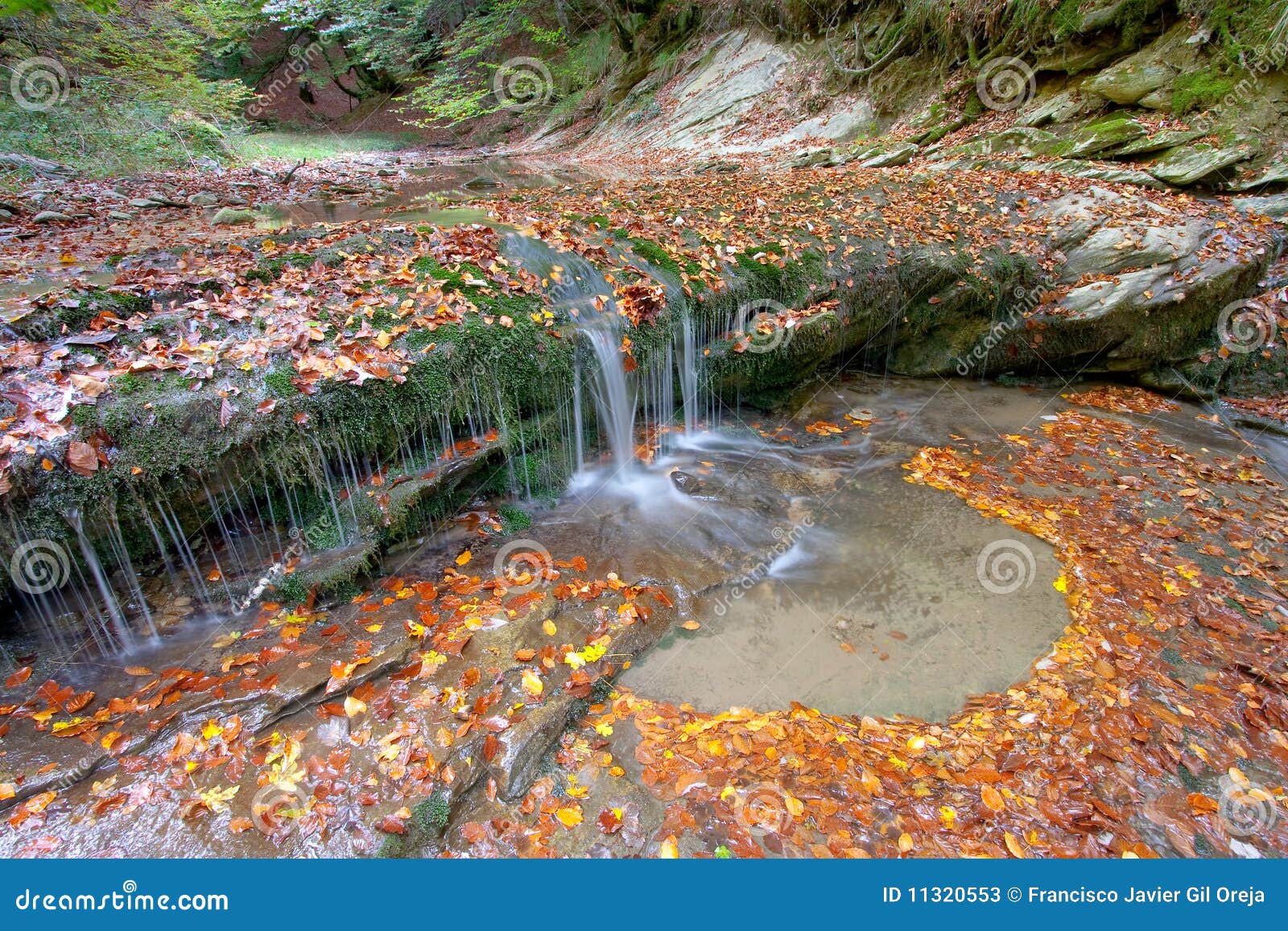 Waterfall in the Forest of Irati Stock Image - Image of navarra, forest ...