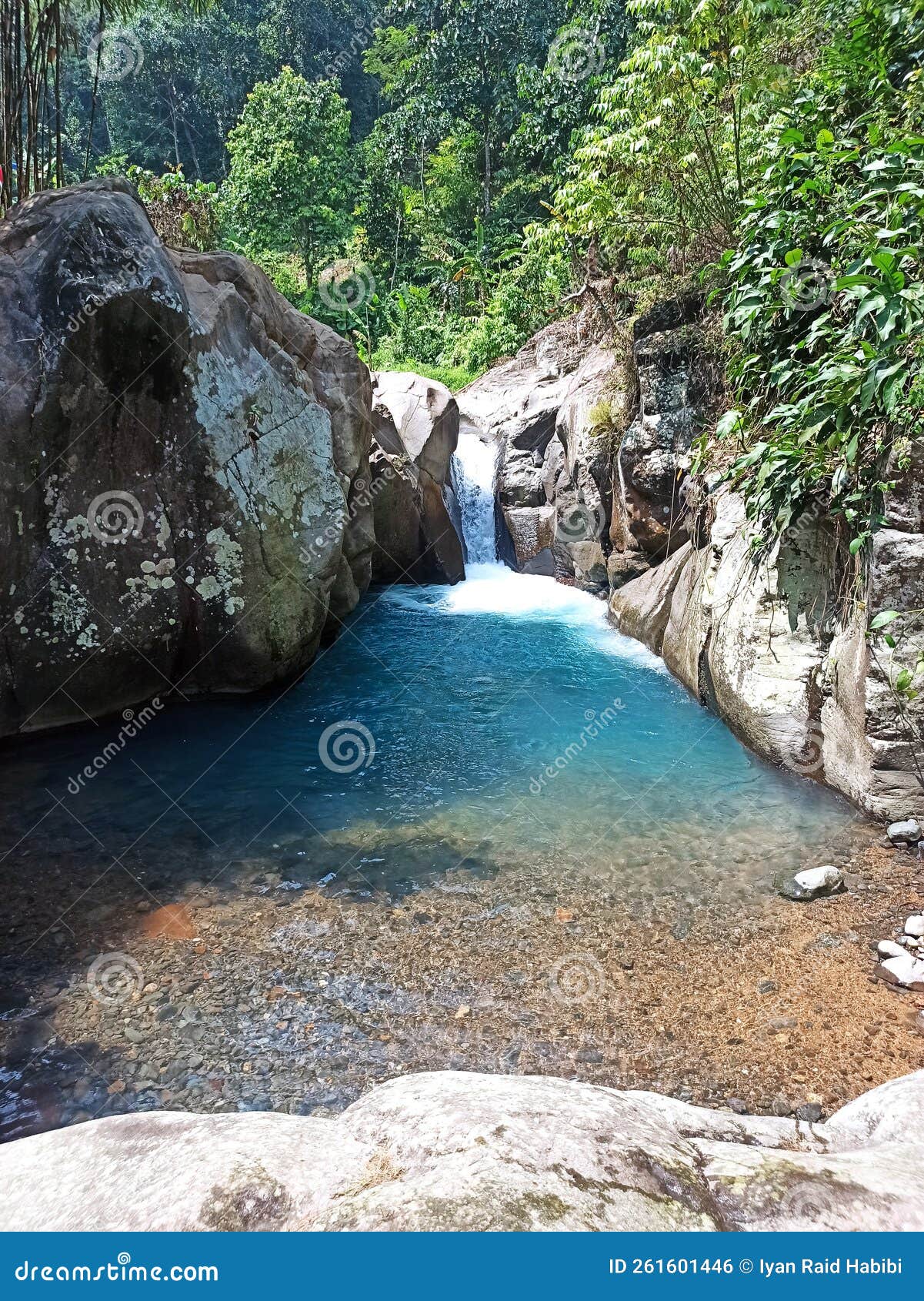 Waterfall in the Forest Jungle with Green Tree Clear Water Stock Photo ...