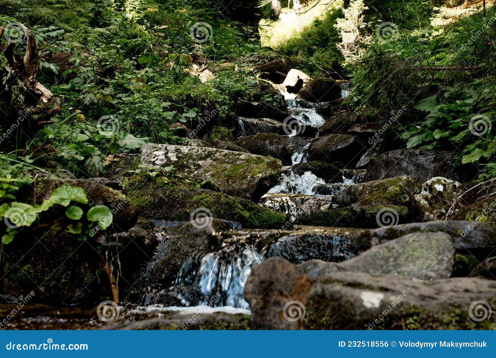 Waterfall in the Forest. Forest Landscape Stock Photo - Image of clean ...
