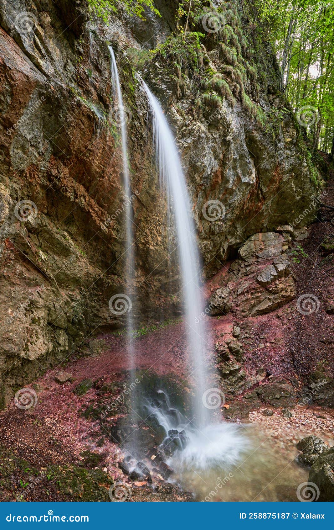 Waterfall in the forest stock image. Image of outdoor - 258875187
