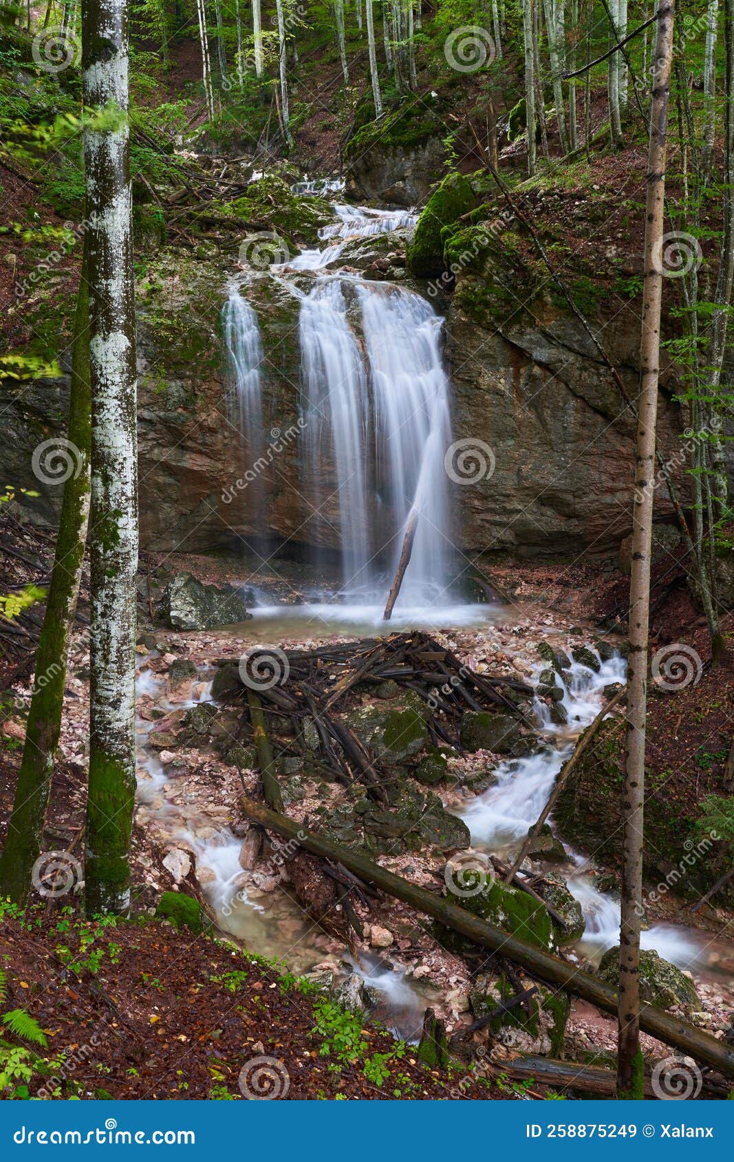 Waterfall in the forest stock image. Image of river - 258875249