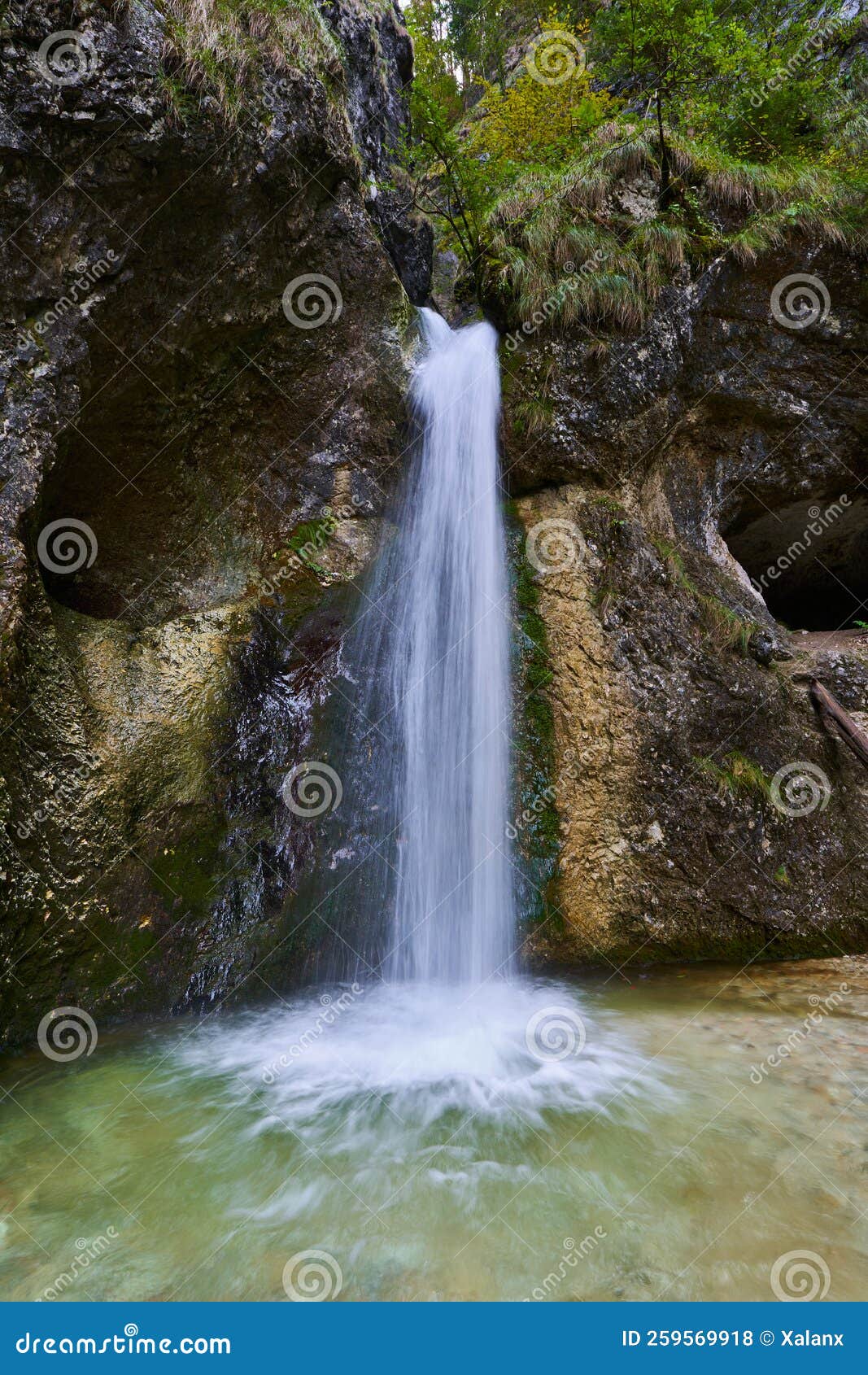Waterfall in the forest stock photo. Image of jungle - 259569918