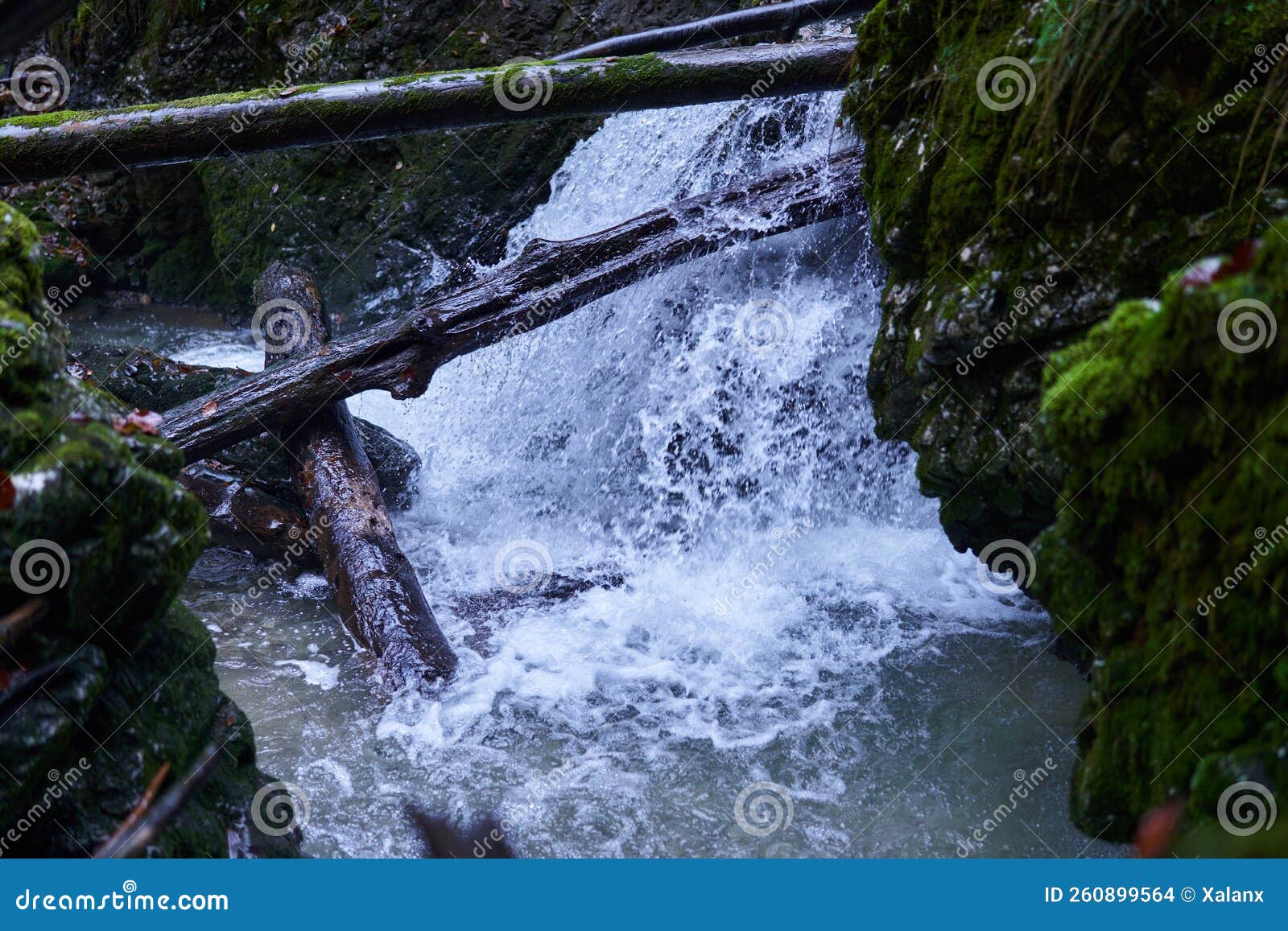 Waterfall in the forest stock photo. Image of moist - 260899564