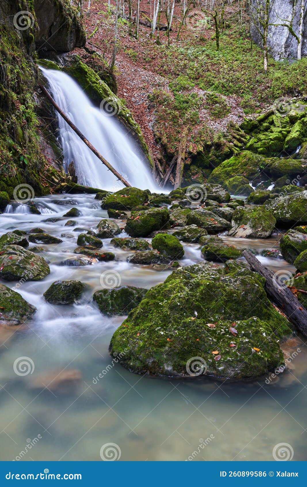 Waterfall in the forest stock photo. Image of pass, boulders - 260899586