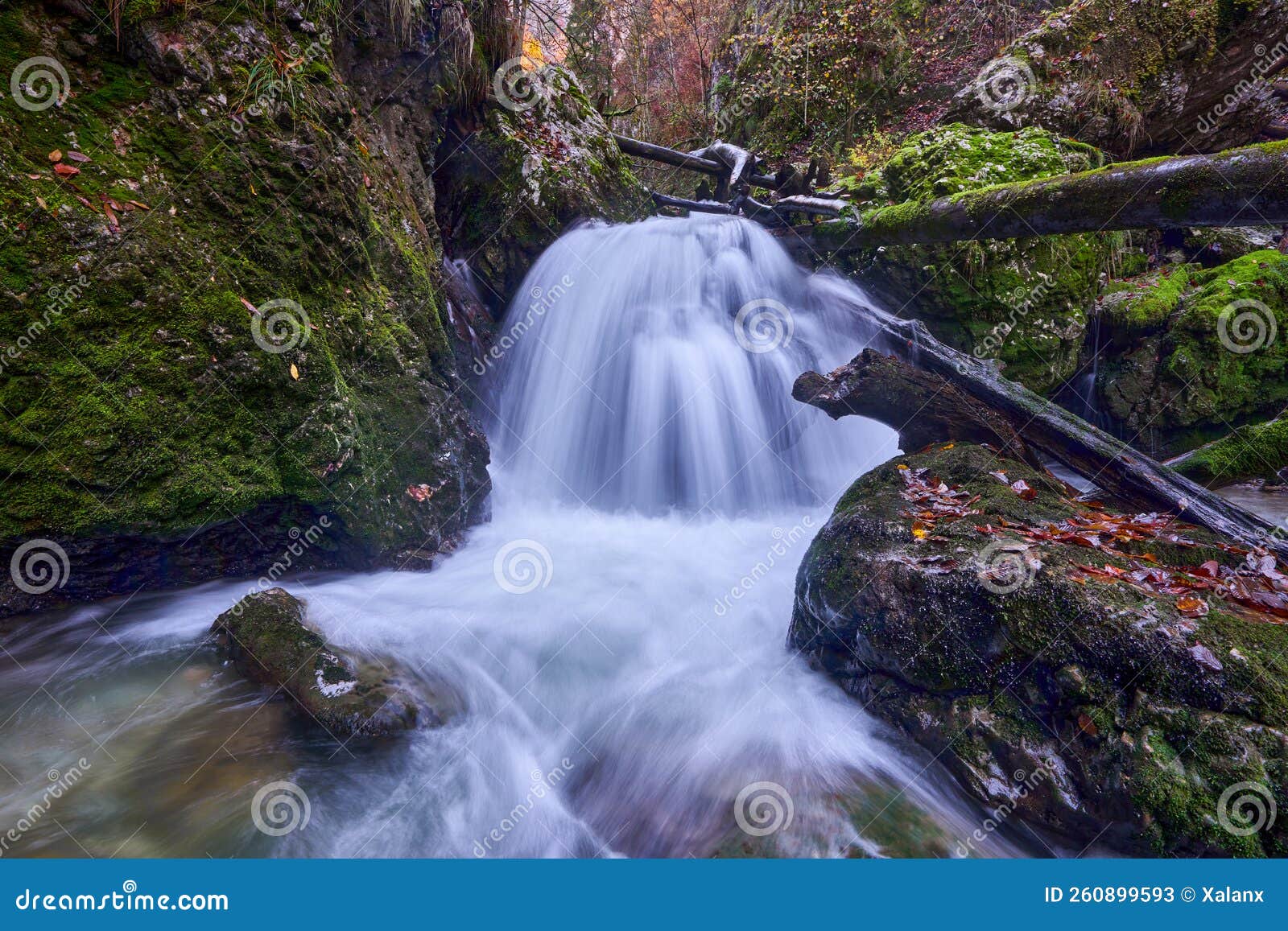 Waterfall in the forest stock image. Image of mountain - 260899593
