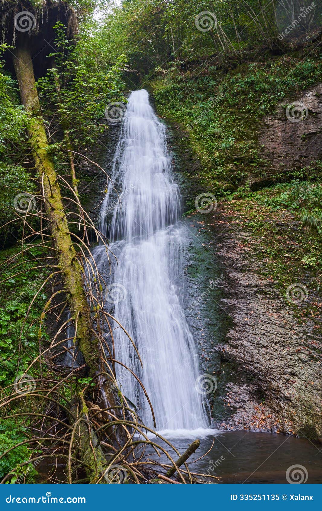 Waterfall in the forest stock image. Image of natural - 335251135