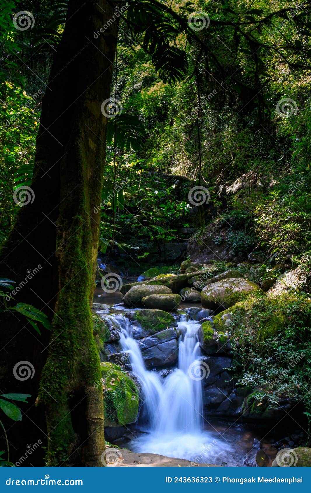Waterfall in the Forest or Motion of Water at Brook of Water Fall. with ...