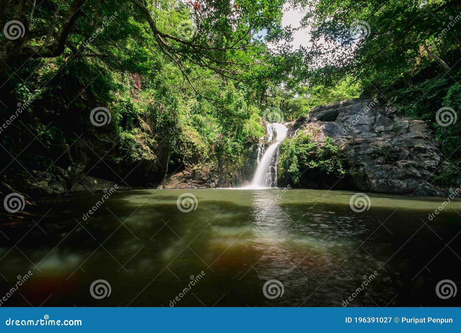 A Waterfall in the Forest, a Natural Stream of Water that Flows through ...