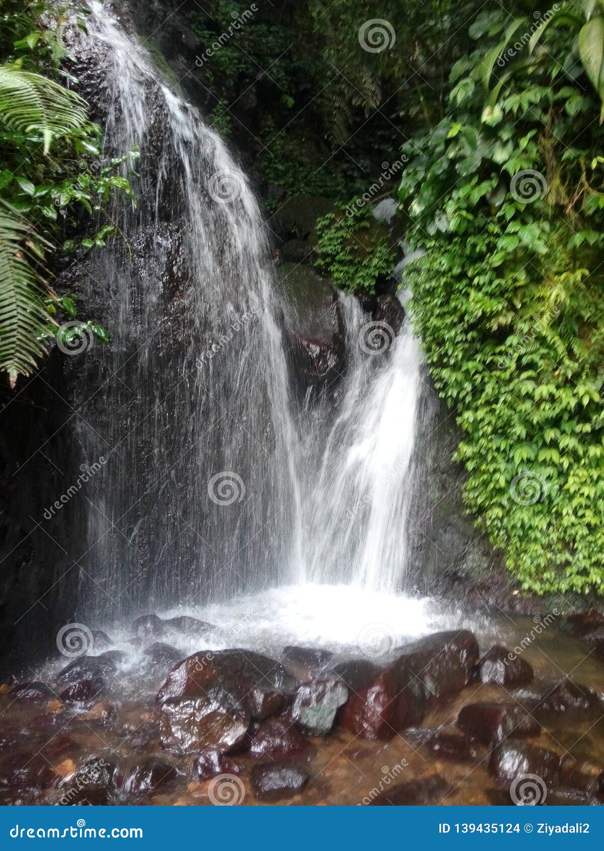 Waterfall in the Forest and Nice View Stock Photo - Image of remember ...