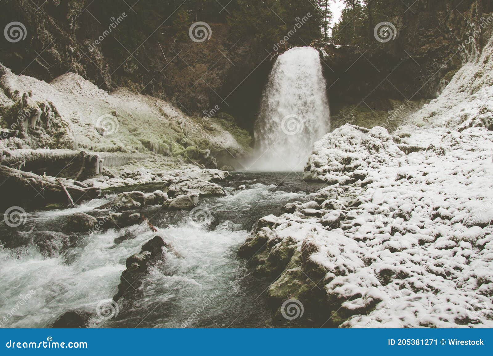 Waterfall in a Forest in Oregon Stock Image - Image of foliage, fall ...