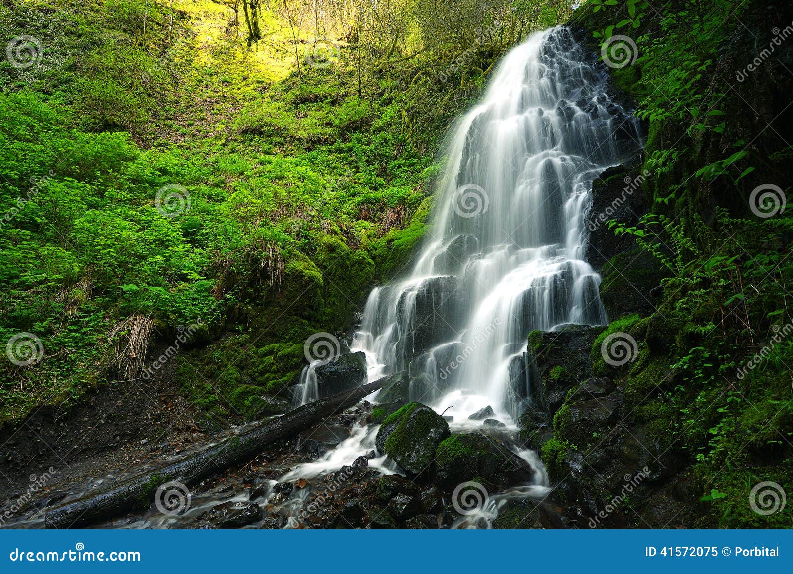 Waterfall in forest stock image. Image of drop, jungle - 41572075