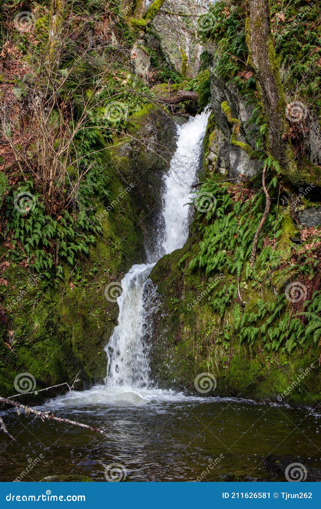 Pretty Waterfall in the Forest Stock Image - Image of green, north ...