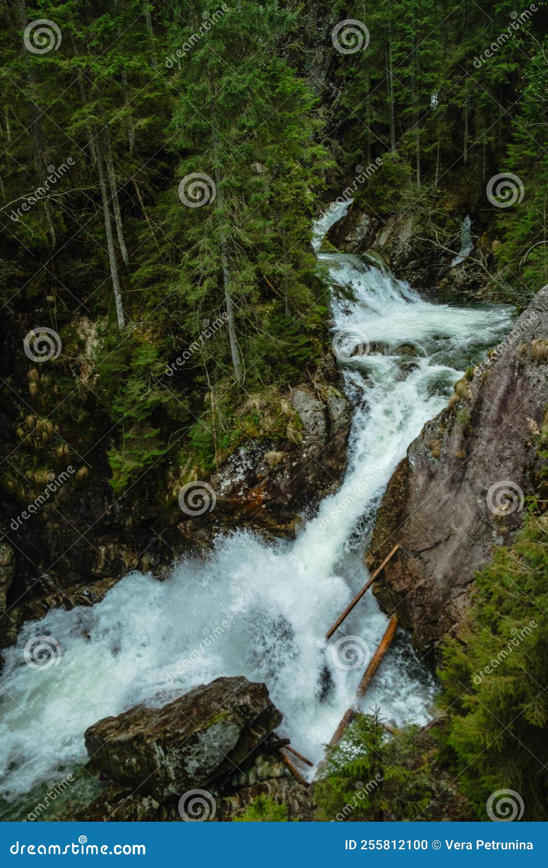 Waterfall in spring forest stock photo. Image of purity - 255812100