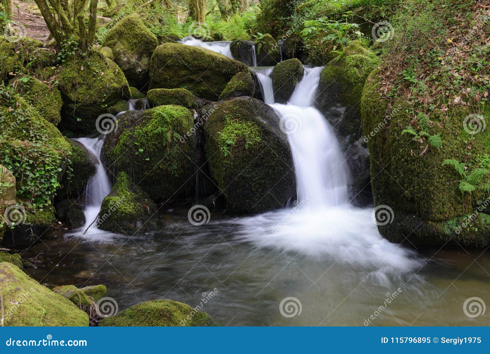Waterfall on a Forest River Stock Image - Image of paradise, fall ...