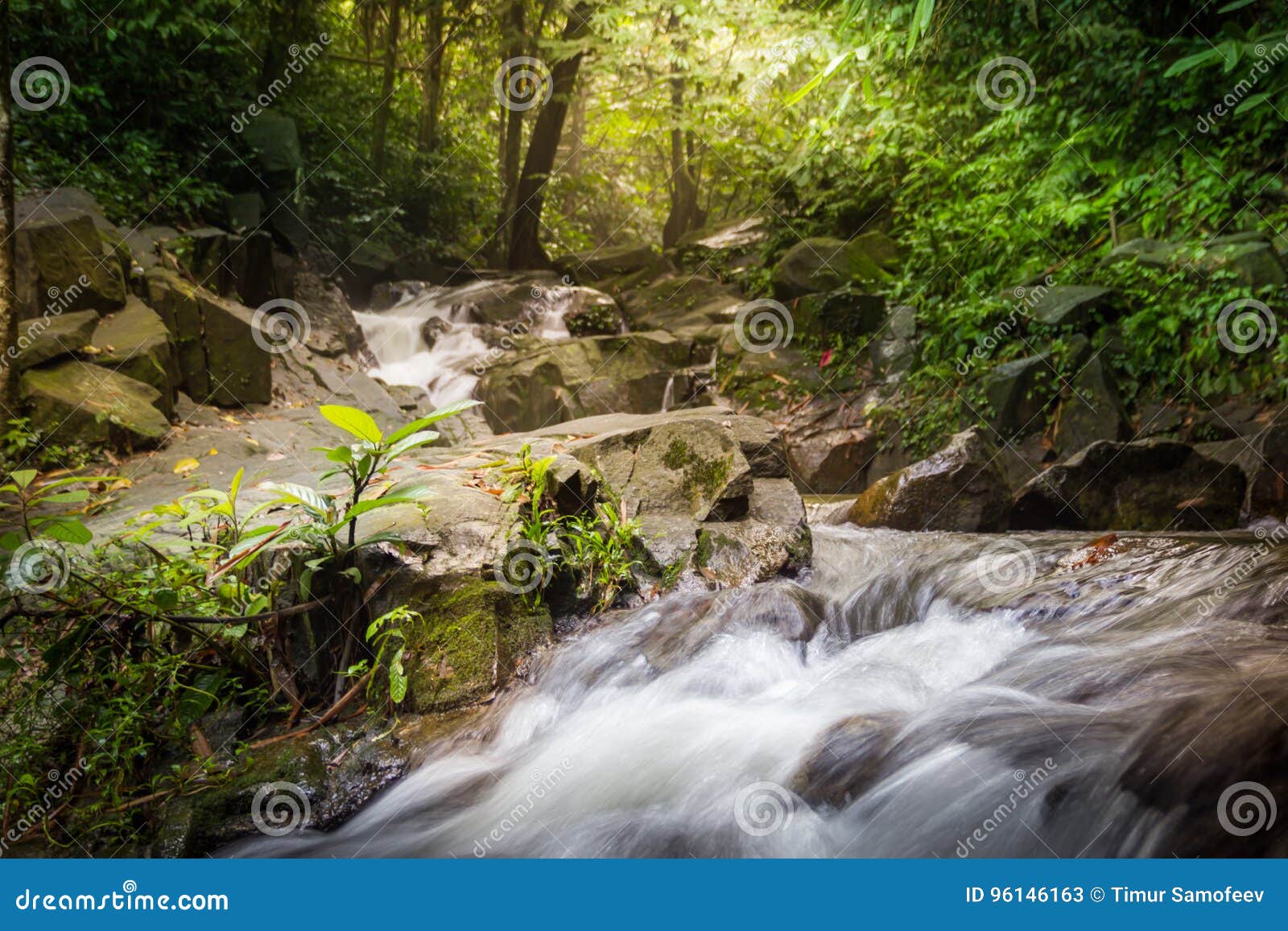 Waterfall Forest Stones Stream Jungle Stock Image - Image of flowing ...