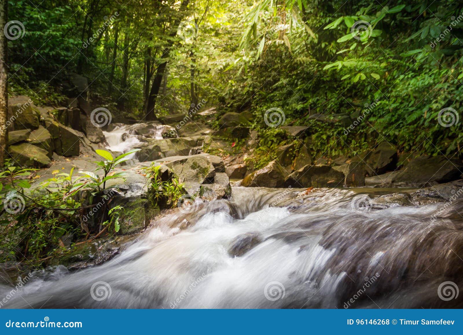 Waterfall Forest Stones Stream Jungle Stock Photo - Image of forest ...