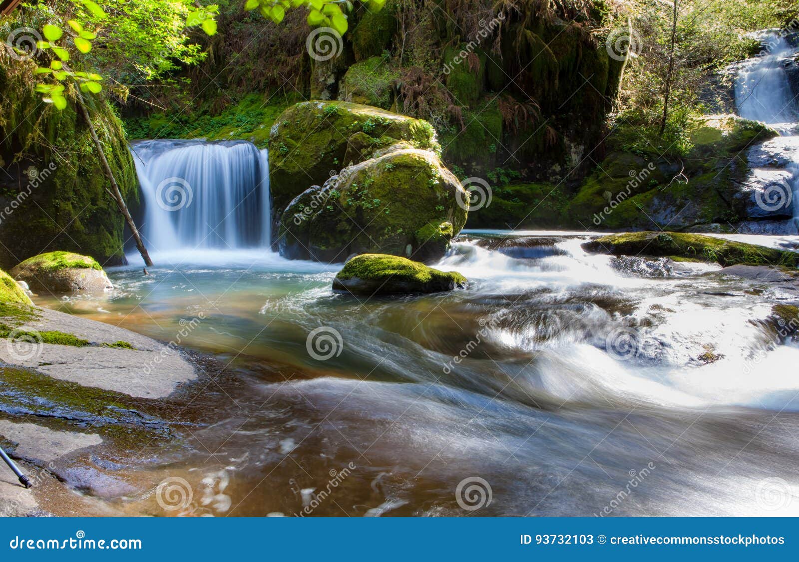 Waterfall In Forest Stream Picture. Image: 93732103