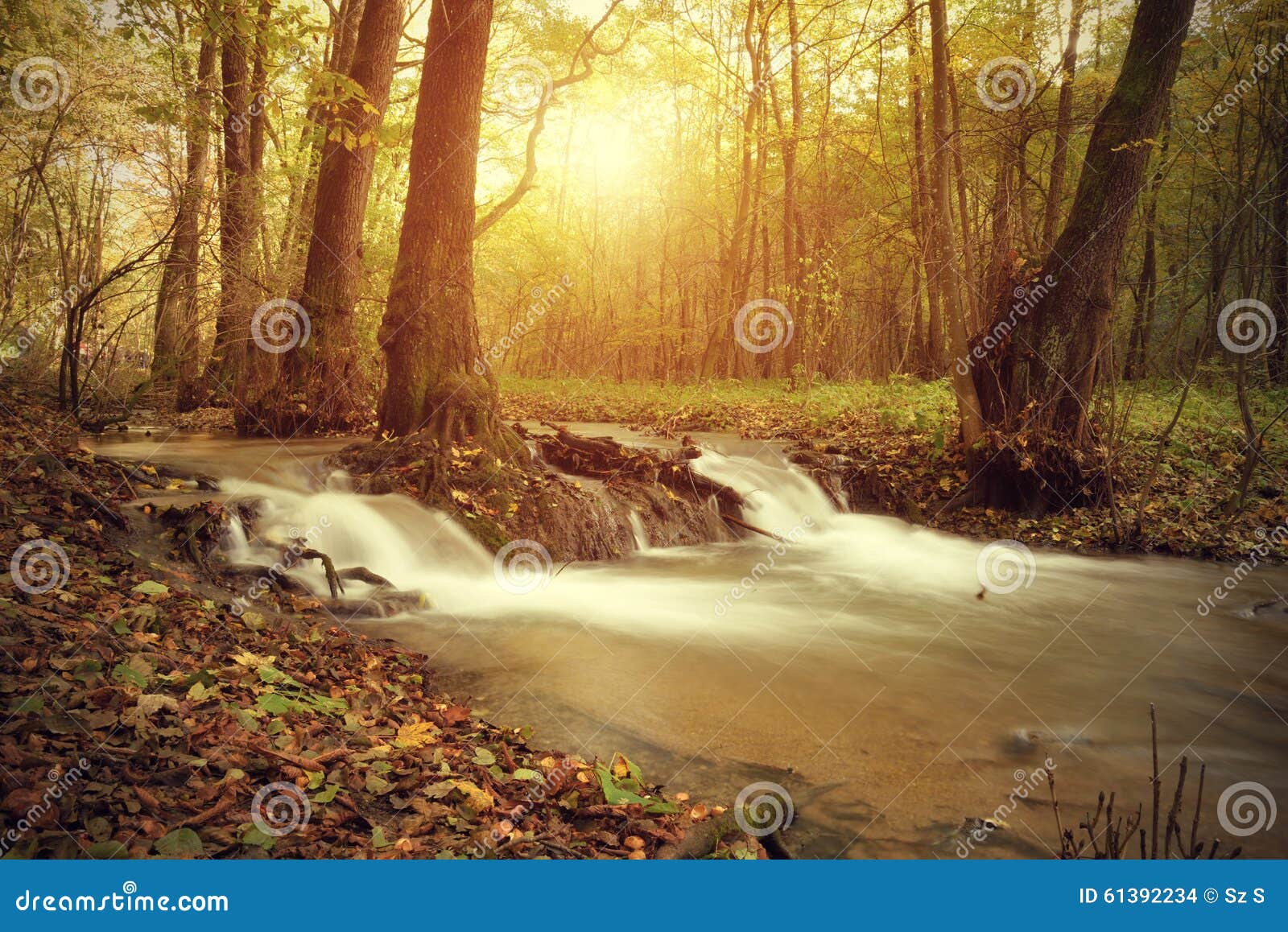 Waterfall in the forest stock photo. Image of flow, orange - 61392234