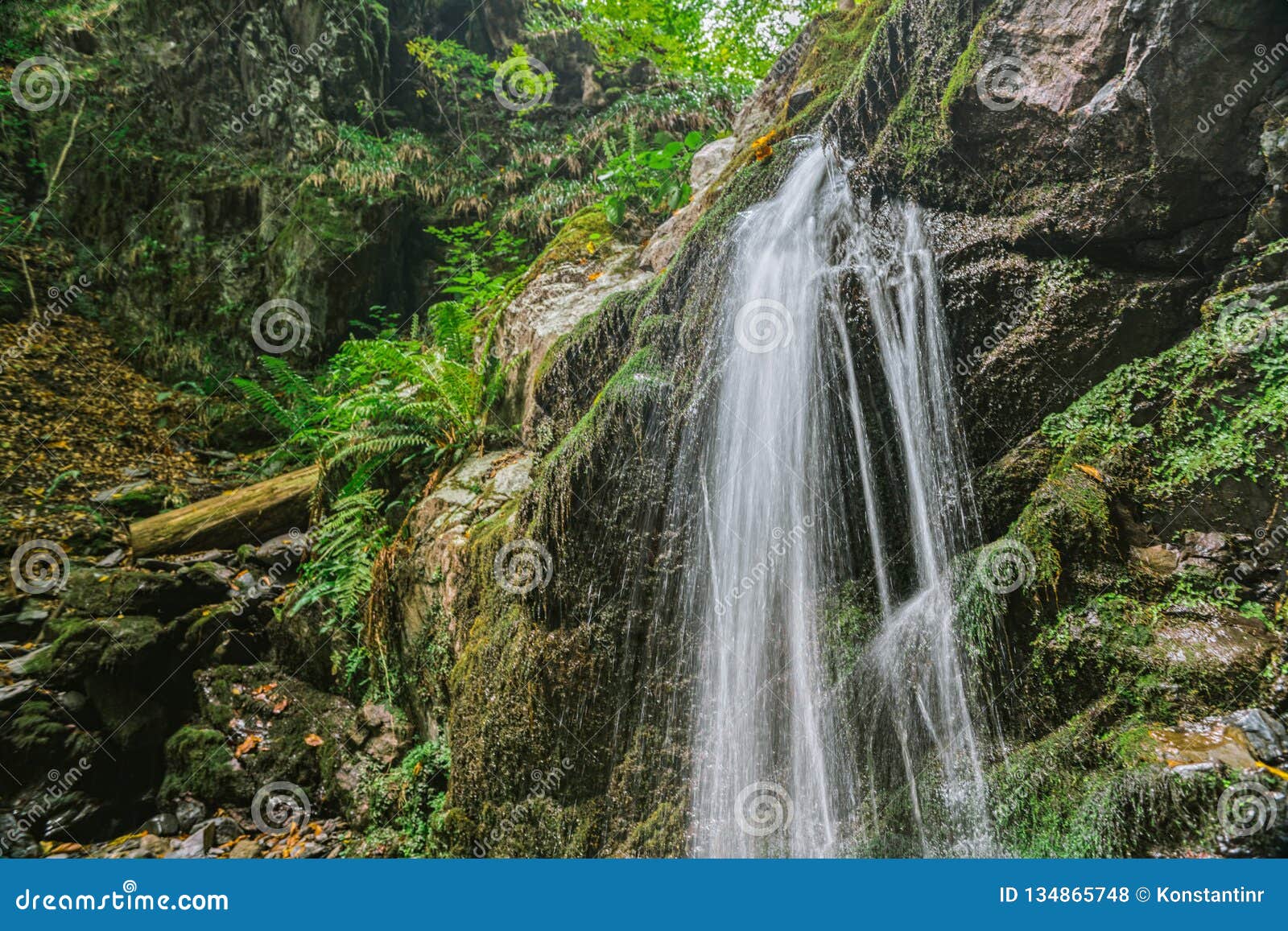 Waterfall in the Forest in the Valley of Mountains . Stock Photo ...