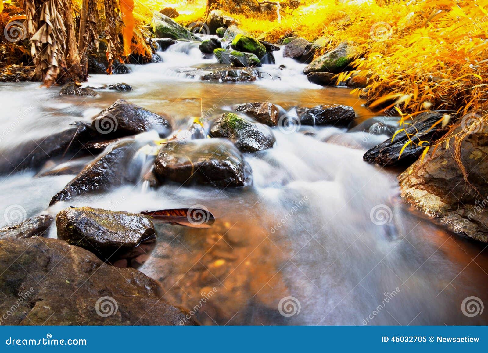 Waterfall Forest Warm Tone Photos - Free & Royalty-Free Stock Photos ...