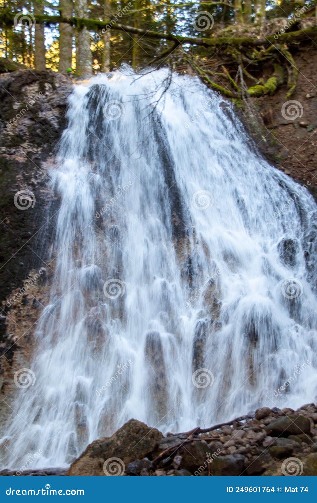 Waterfall in the forest stock photo. Image of flowing - 249601764