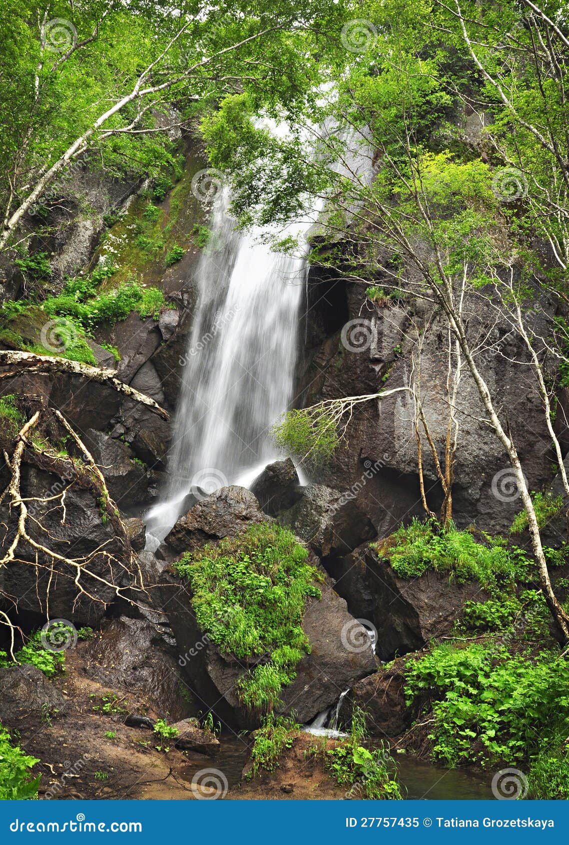 Waterfall in Forest, Wild Landscape Stock Image - Image of blurred ...