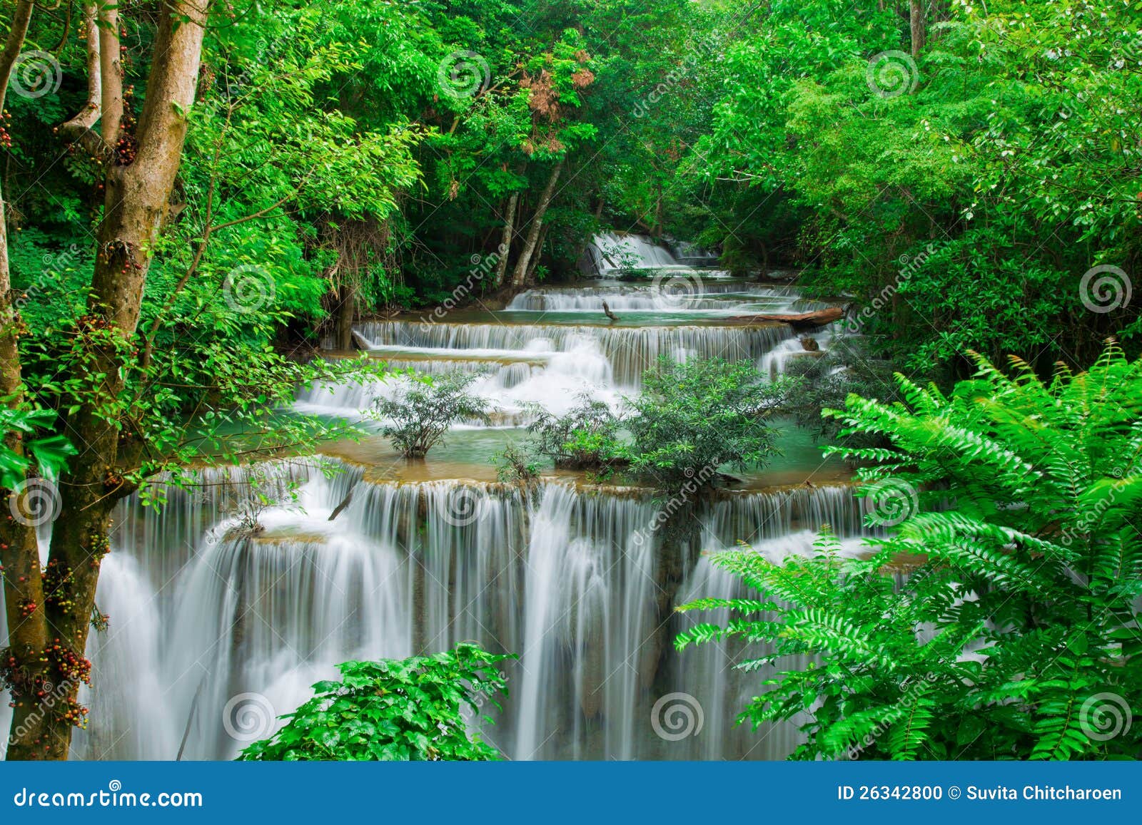 Waterfall In Fresh Green Forest Stock Photo - Image: 26342800