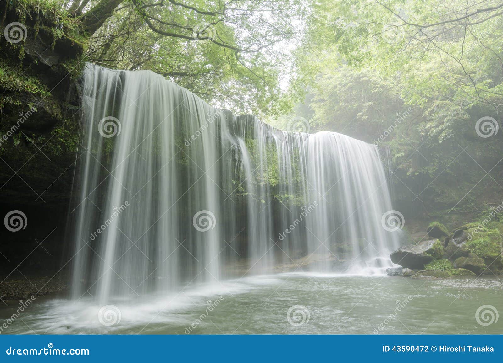 Waterfall in fresh green stock photo. Image of nature - 43590472