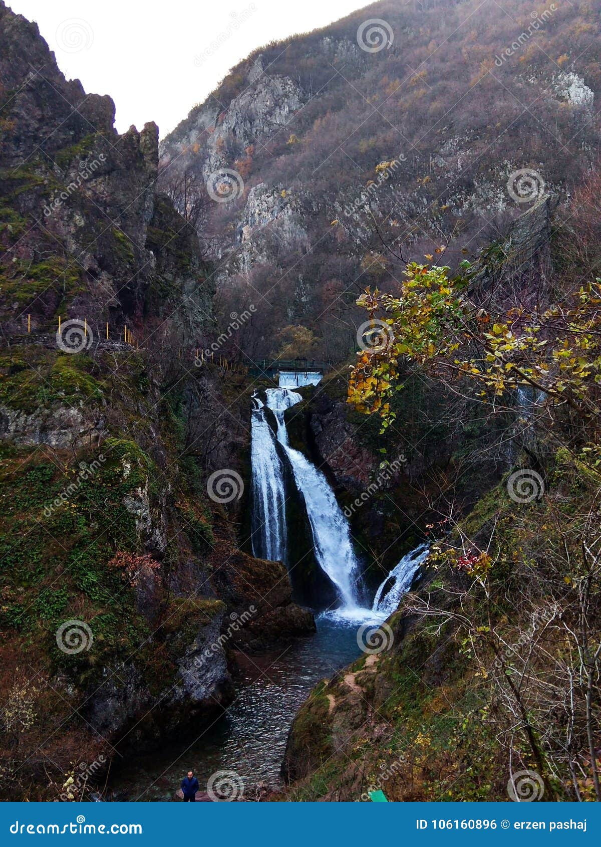 Top View Of Waterfall In Animal Kingdom At Walt Disney World Area ...
