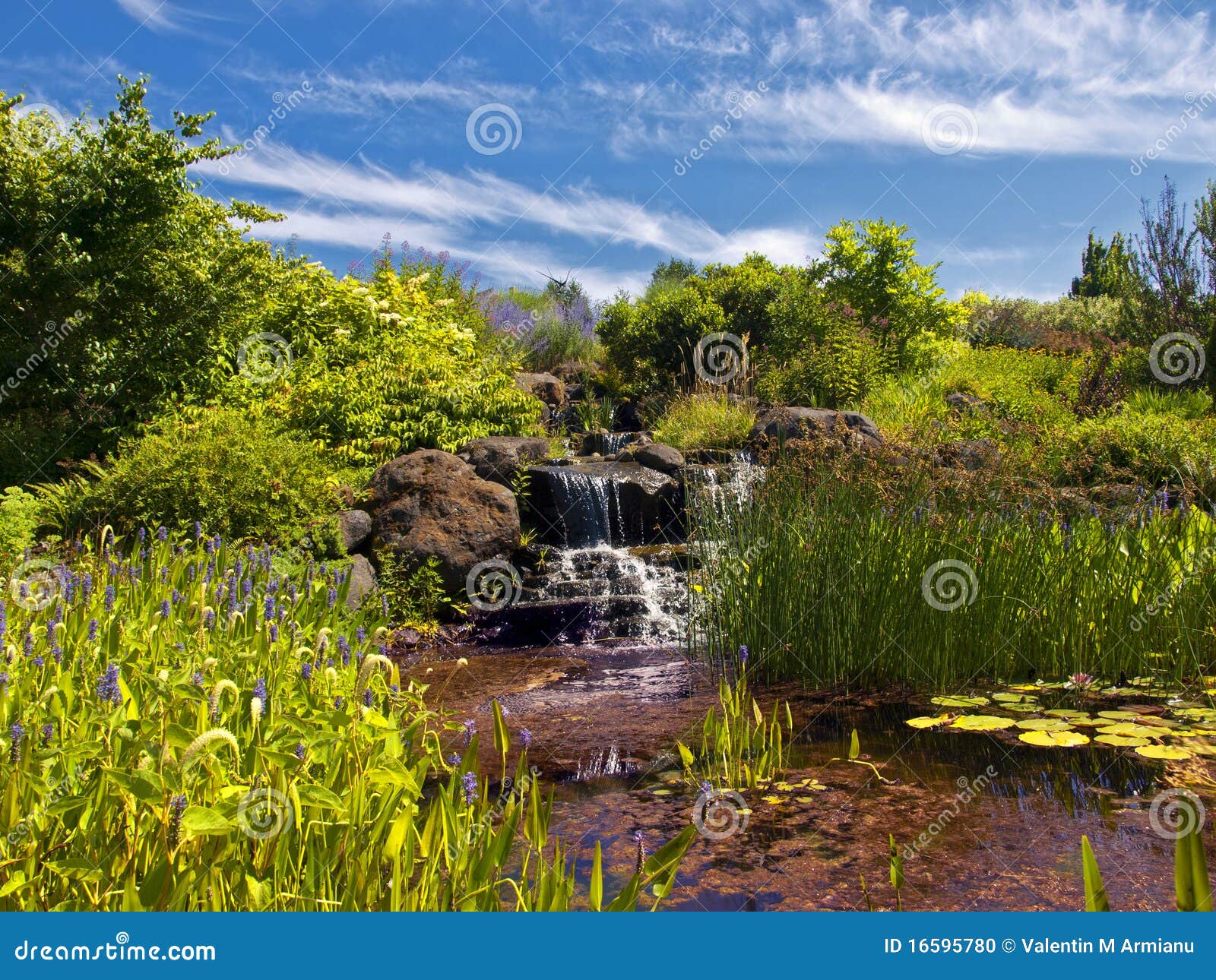 Waterfall in the garden stock photo. Image of park, fall - 16595780