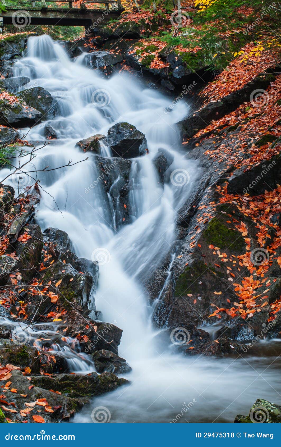 Waterfall in Gatineau Park stock photo. Image of maple - 29475318