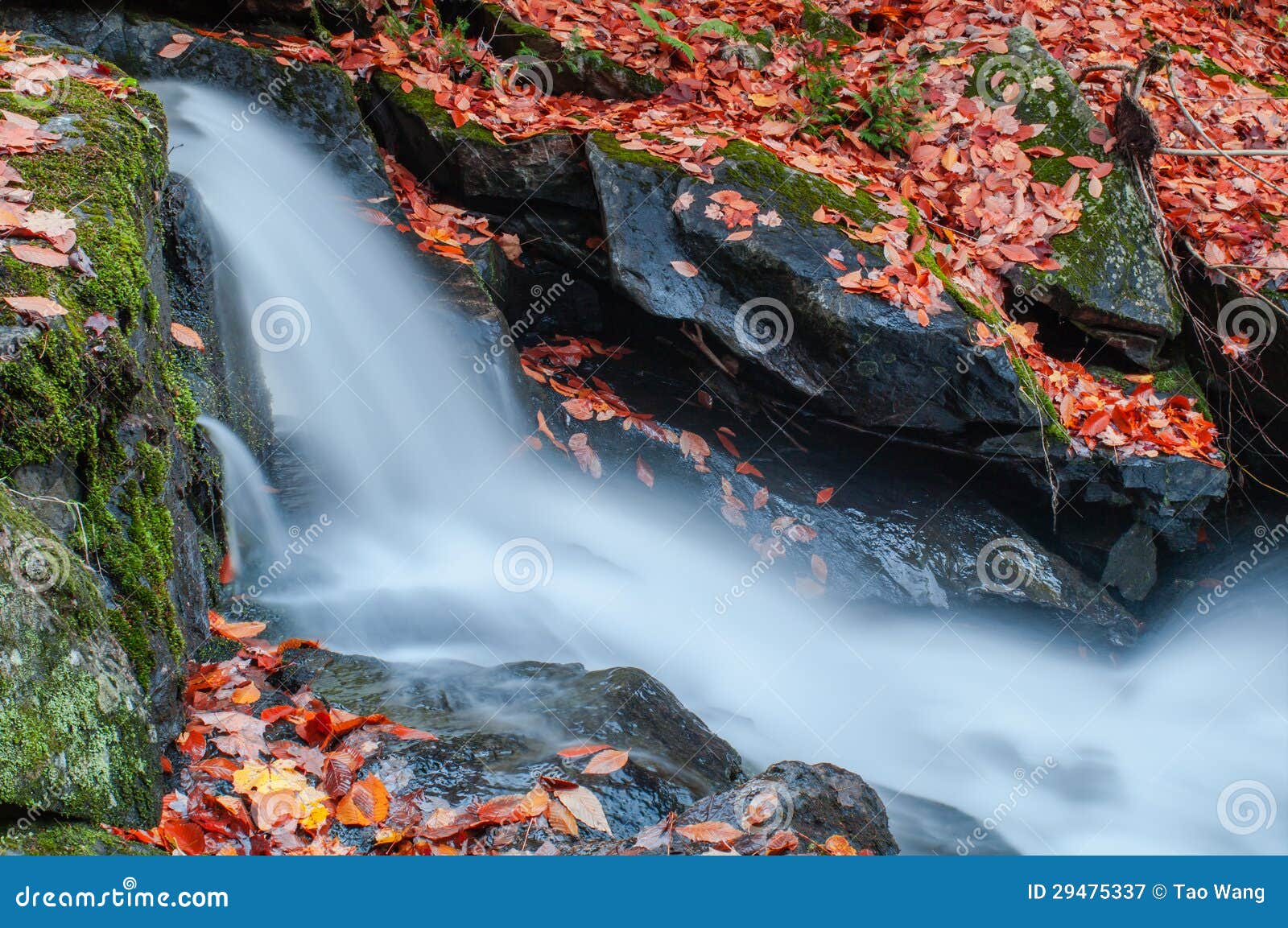 Waterfall in Gatineau Park stock image. Image of orange - 29475337