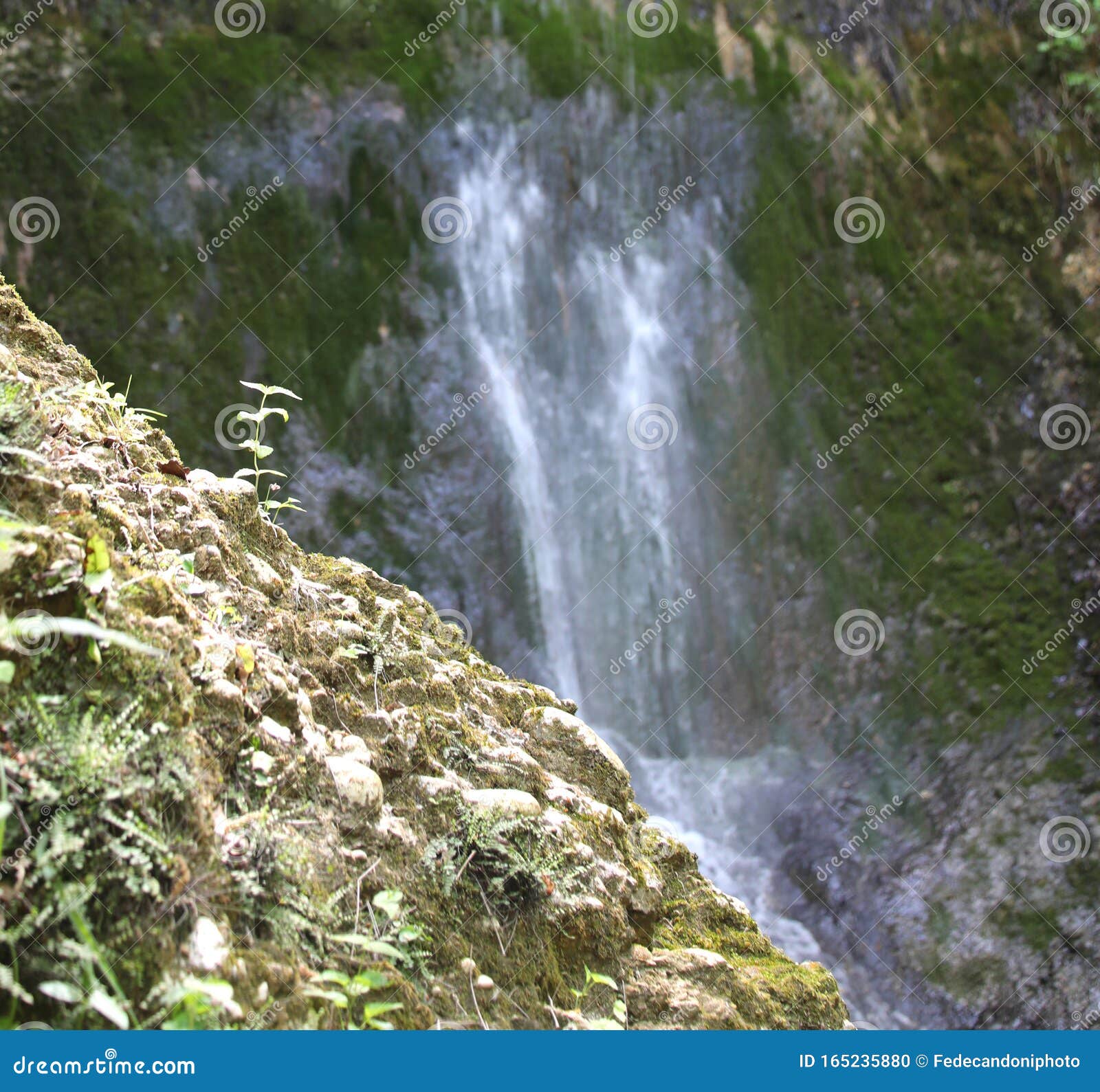 Waterfall and Generic Vegetation Stock Photo - Image of basin, jungle ...
