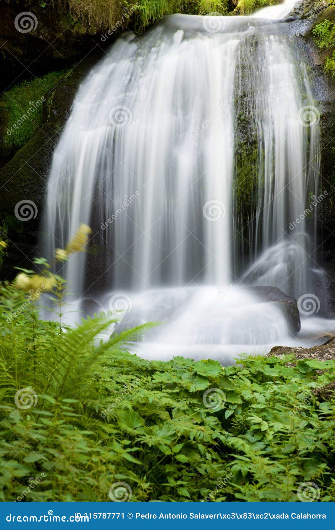 Waterfall in Germany stock image. Image of green, land - 115787771