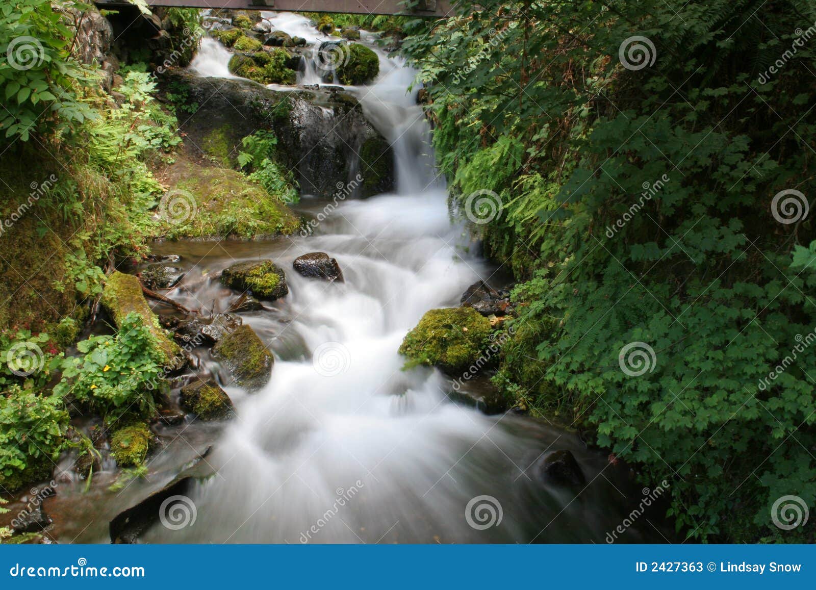Waterfall in the gorge stock image. Image of adventure - 2427363