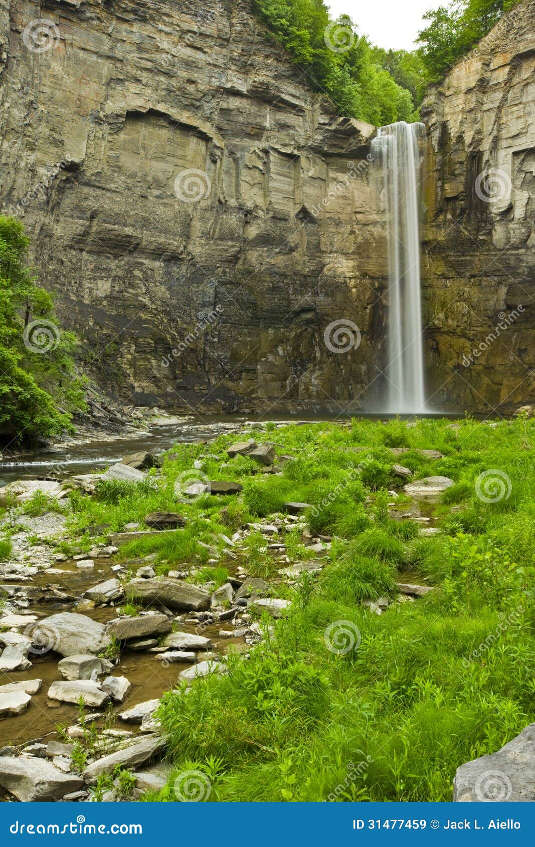 Waterfall and Gorge stock image. Image of gorge, fresh - 31477459