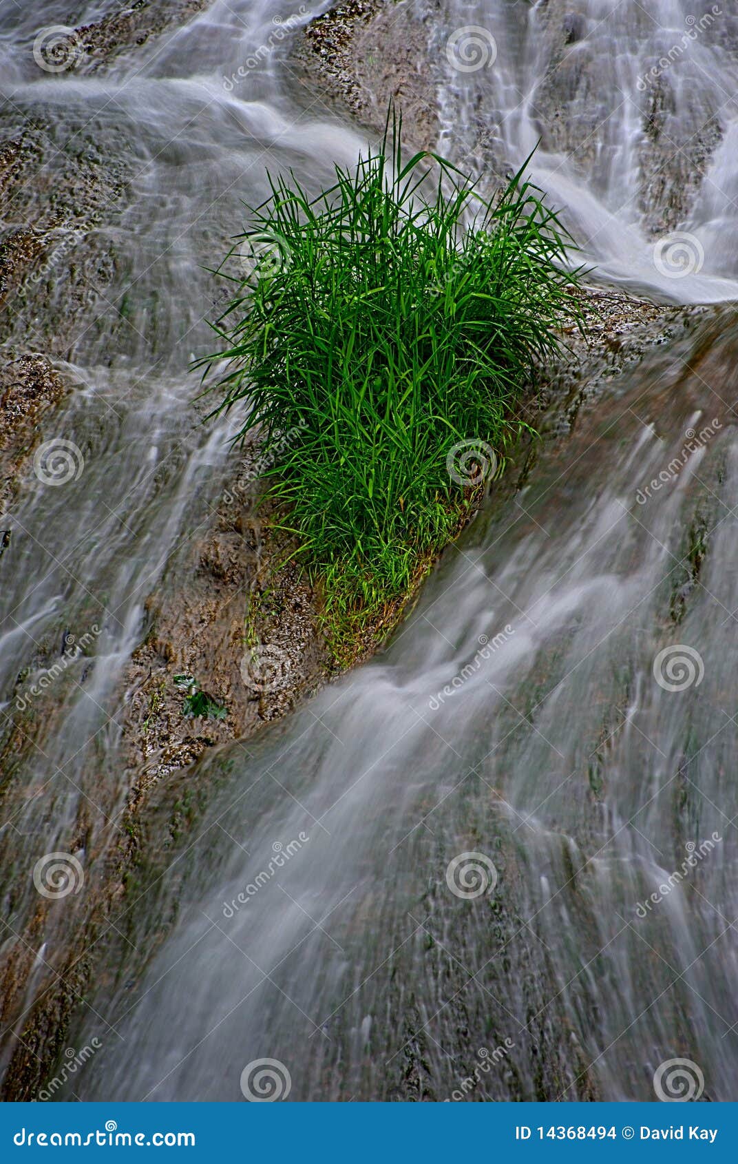 Waterfall and Grass stock photo. Image of rapid, blur - 14368494