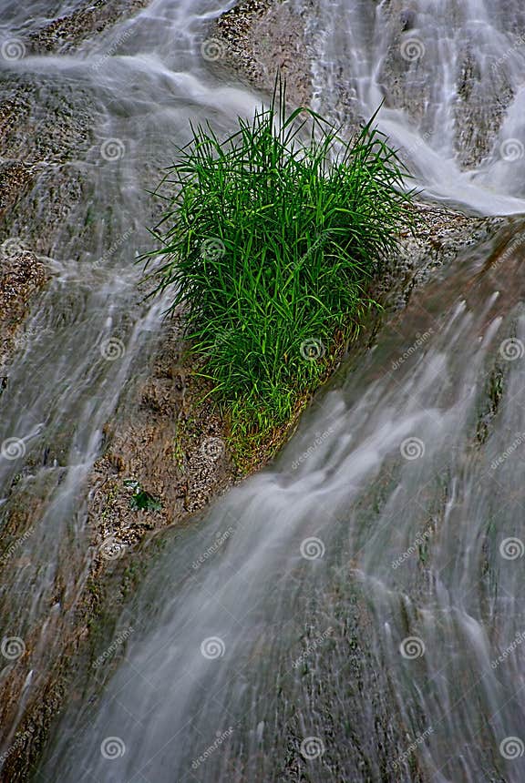 Waterfall and Grass stock photo. Image of rapid, blur - 14368494