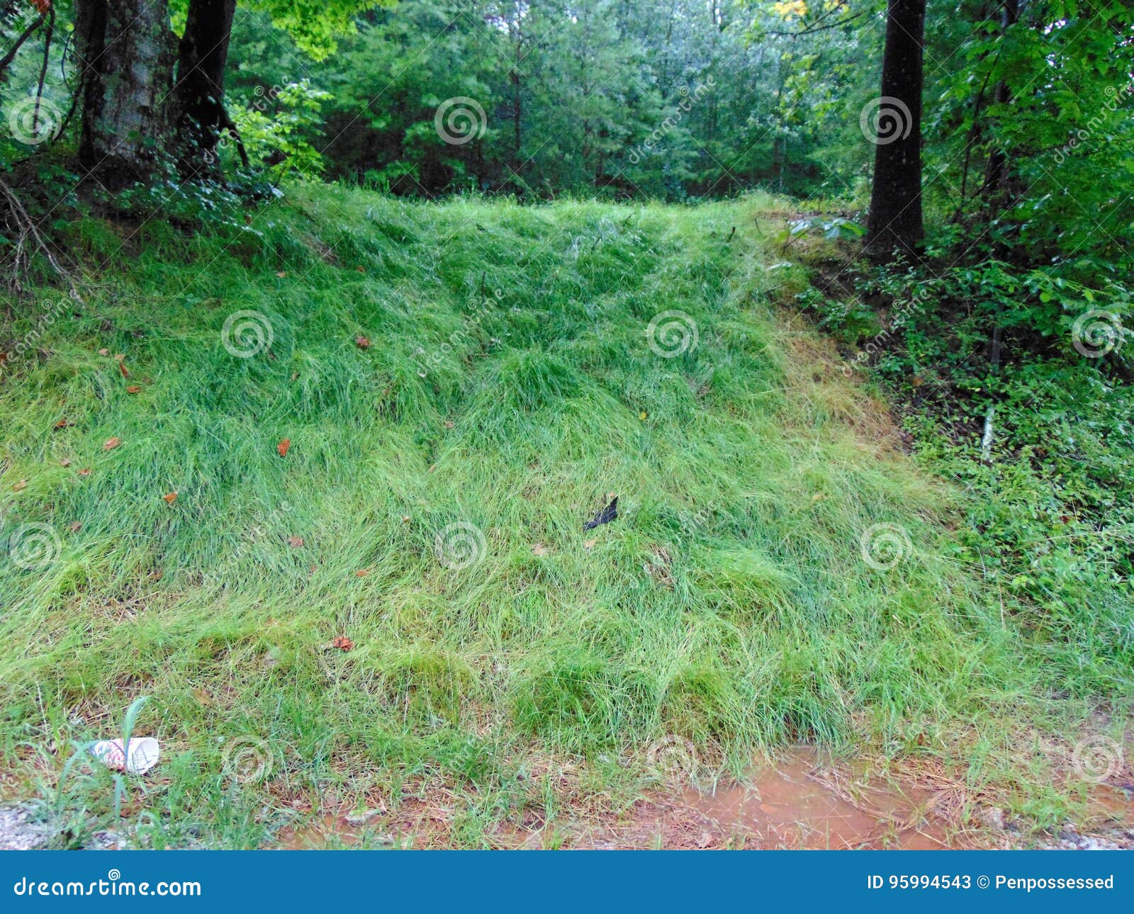 Waterfall of Grass stock image. Image of waterfall, waves - 95994543
