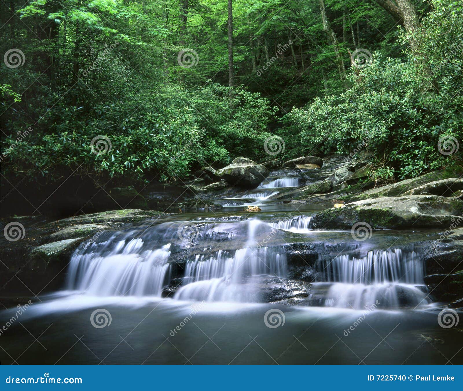 Warwe Photos - Free & Royalty-Free Stock Photos from Dreamstime